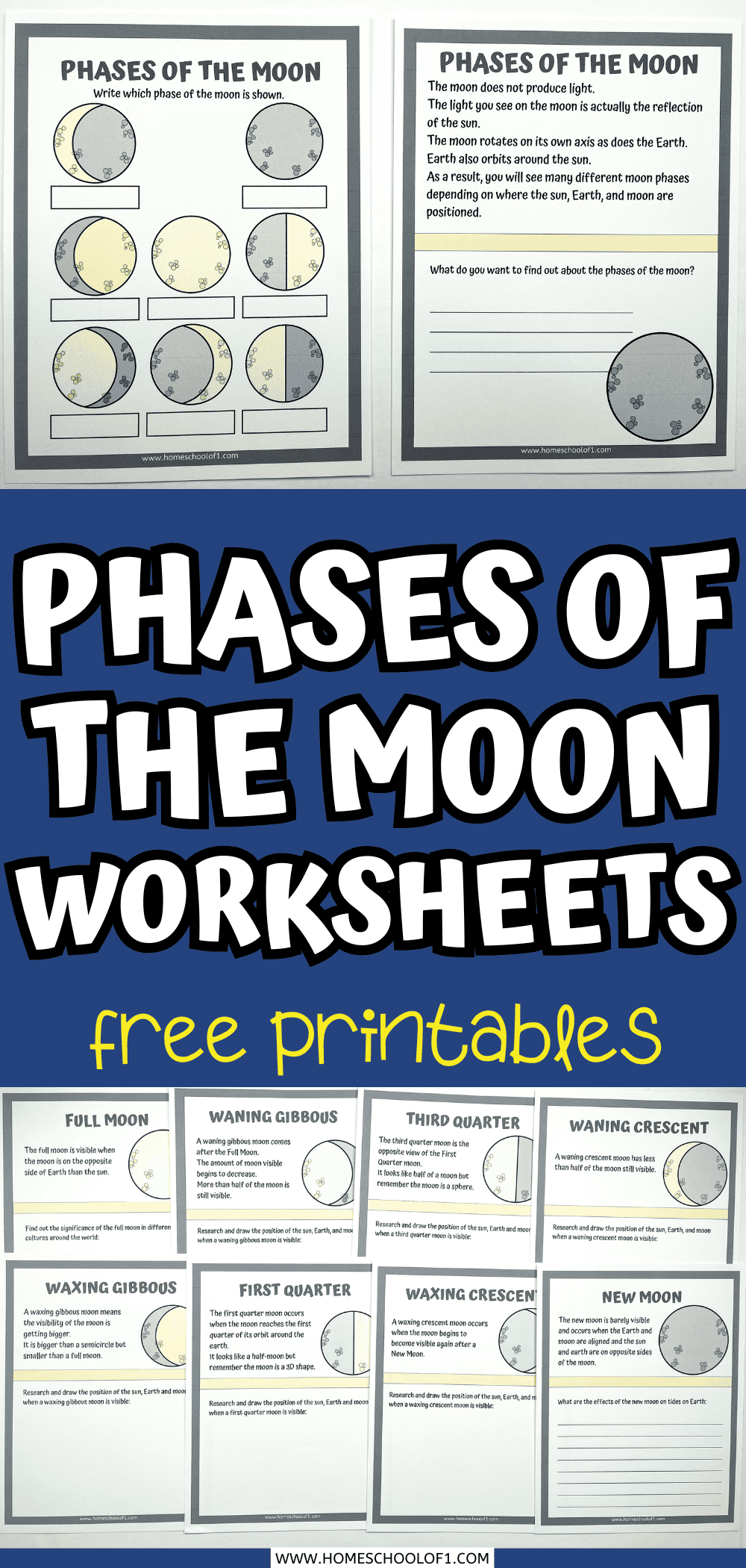 Free Phases of the Moon Worksheet for Kids