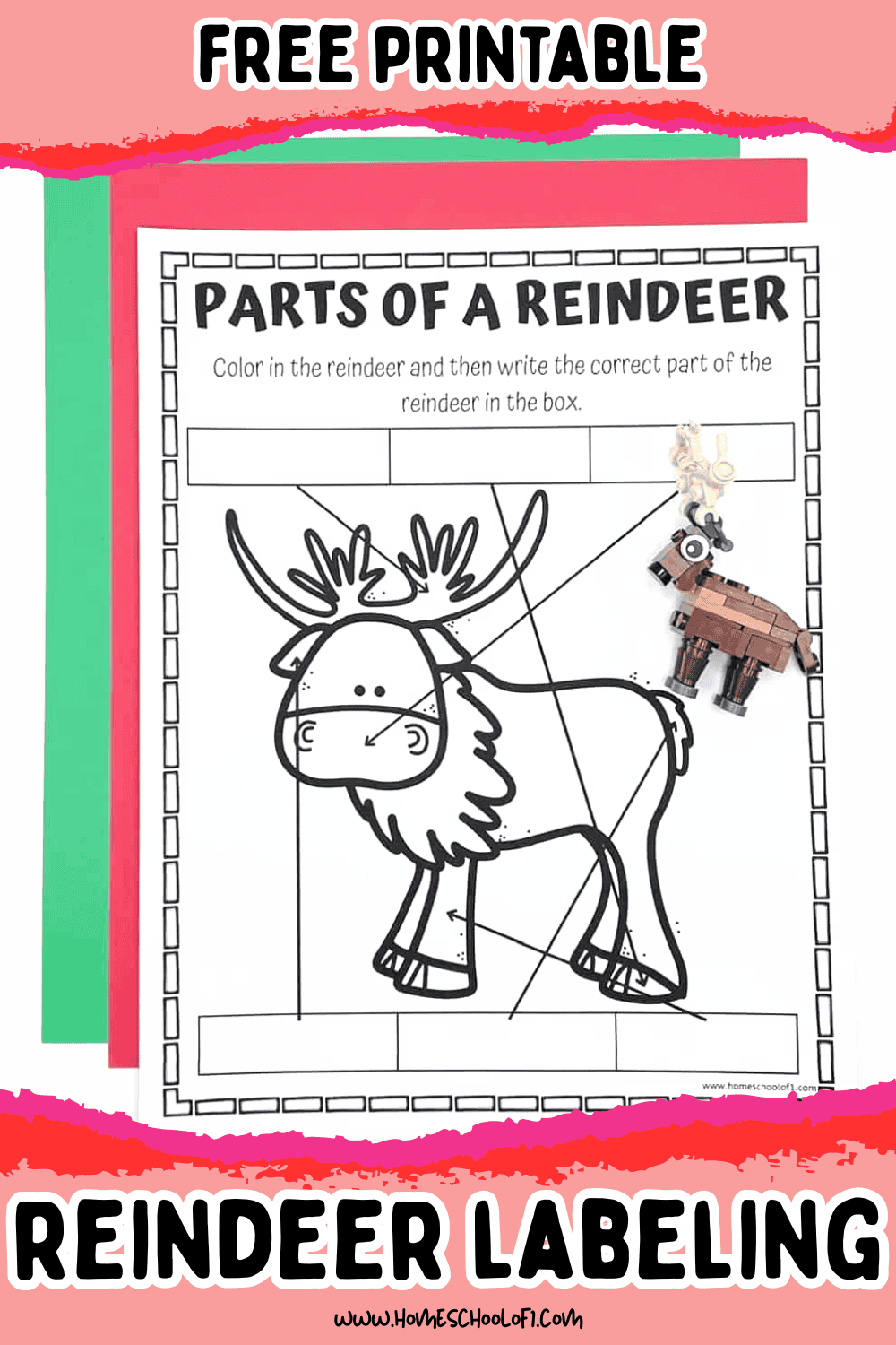 Free Parts of a Reindeer Worksheet