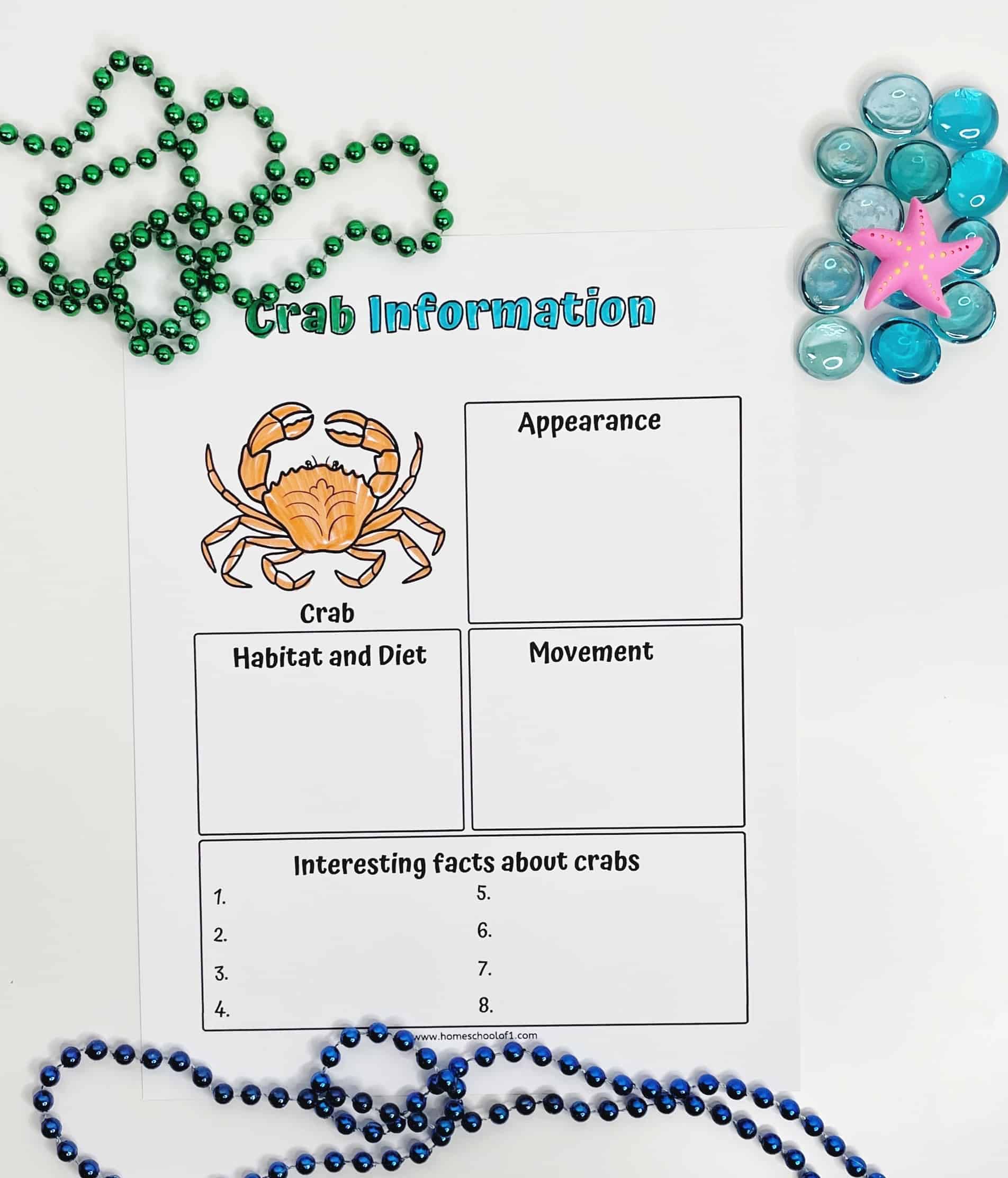 Free Crab Life Cycle Worksheets for Kids