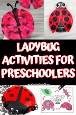 Fun Ladybug Activities for Preschoolers