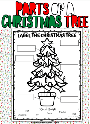 Free Parts of a Christmas Tree Worksheet