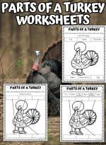 Free Parts of a Turkey Worksheet