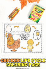 Free Chicken Life Cycle Coloring Page