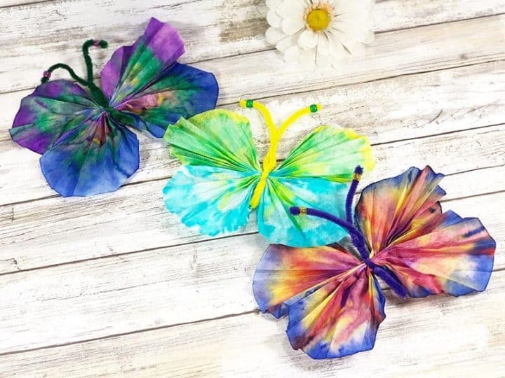 19 Butterfly Activities for Elementary Students