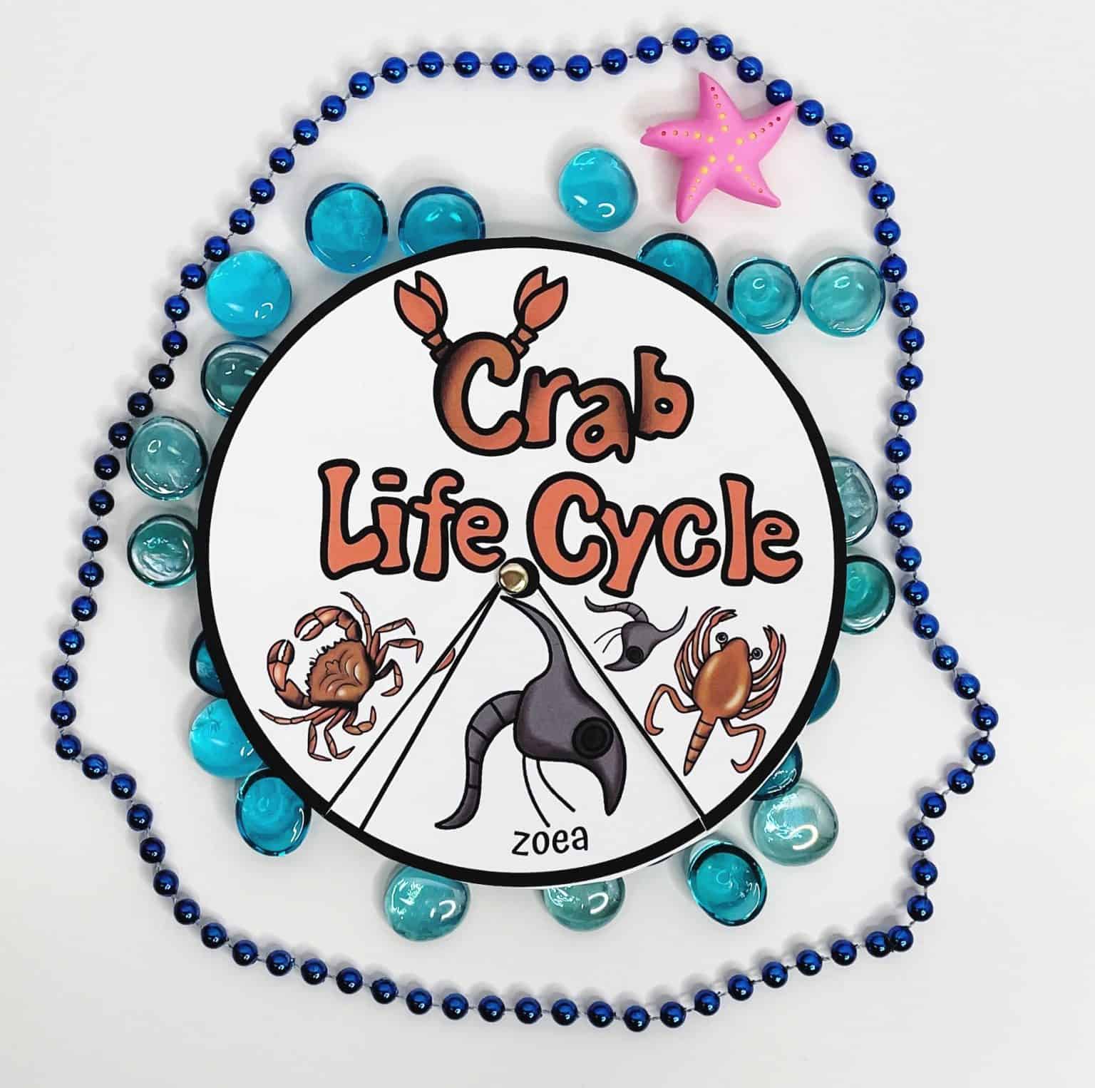 Free Crab Life Cycle Worksheets for Kids