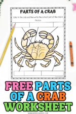 Free Parts of a Crab Worksheet for Kids (Label & Color)