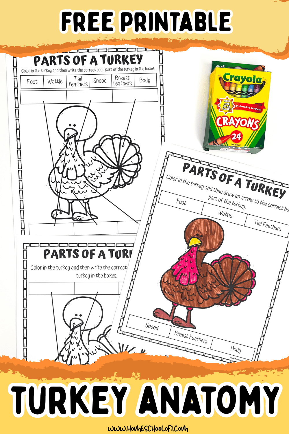 Free Parts Of A Turkey Worksheet