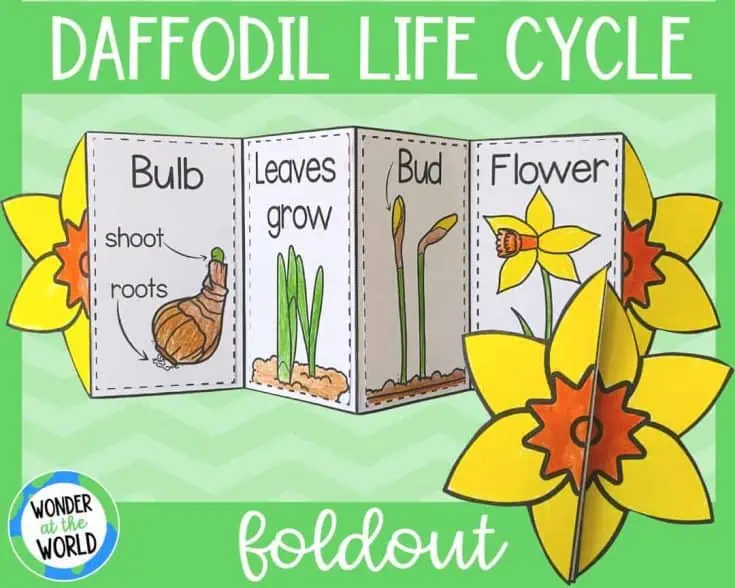 St David's Day Activities for Kids