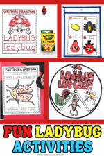 Fun Ladybug Activities for Preschoolers
