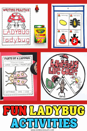 Fun Ladybug Activities for Preschoolers