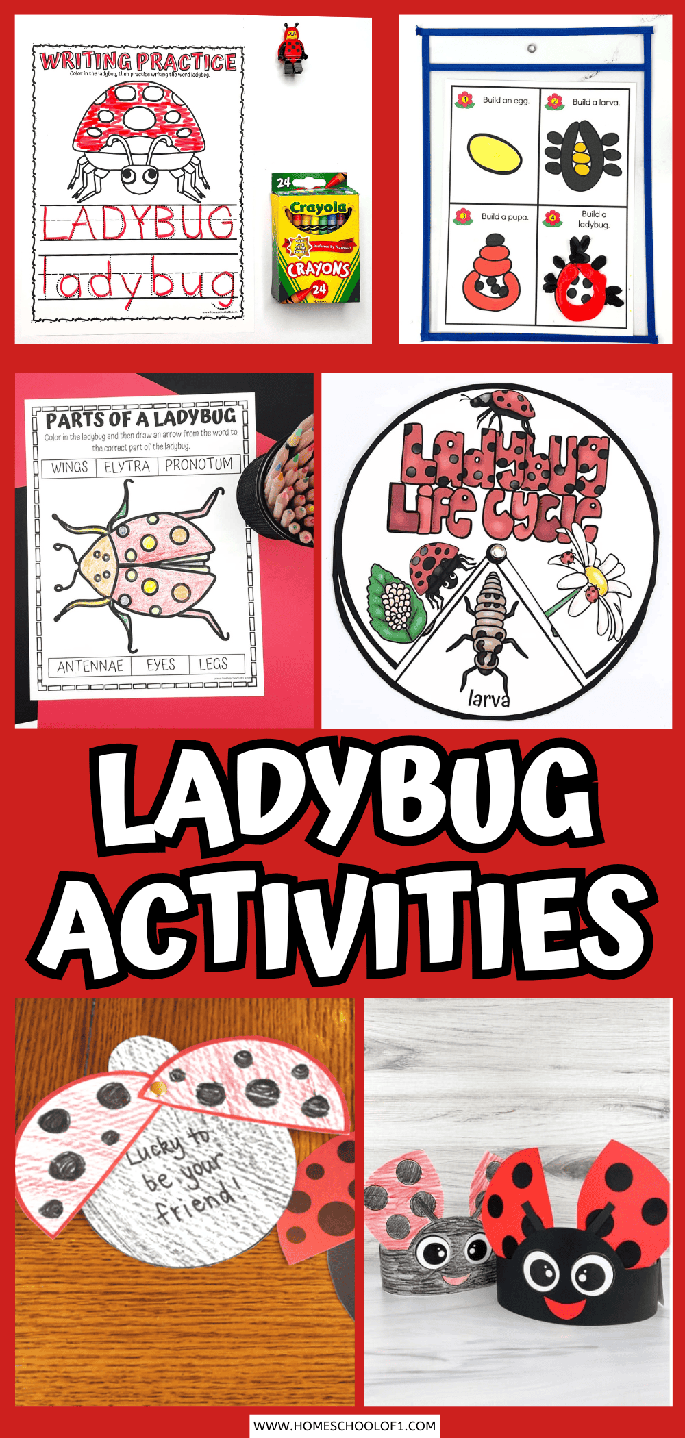 Fun Ladybug Activities for Preschoolers