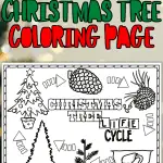 Free Christmas Tree Life Cycle Coloring Page