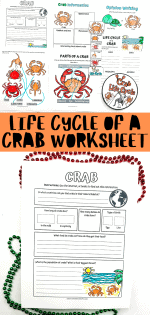 Free Crab Life Cycle Worksheets for Kids