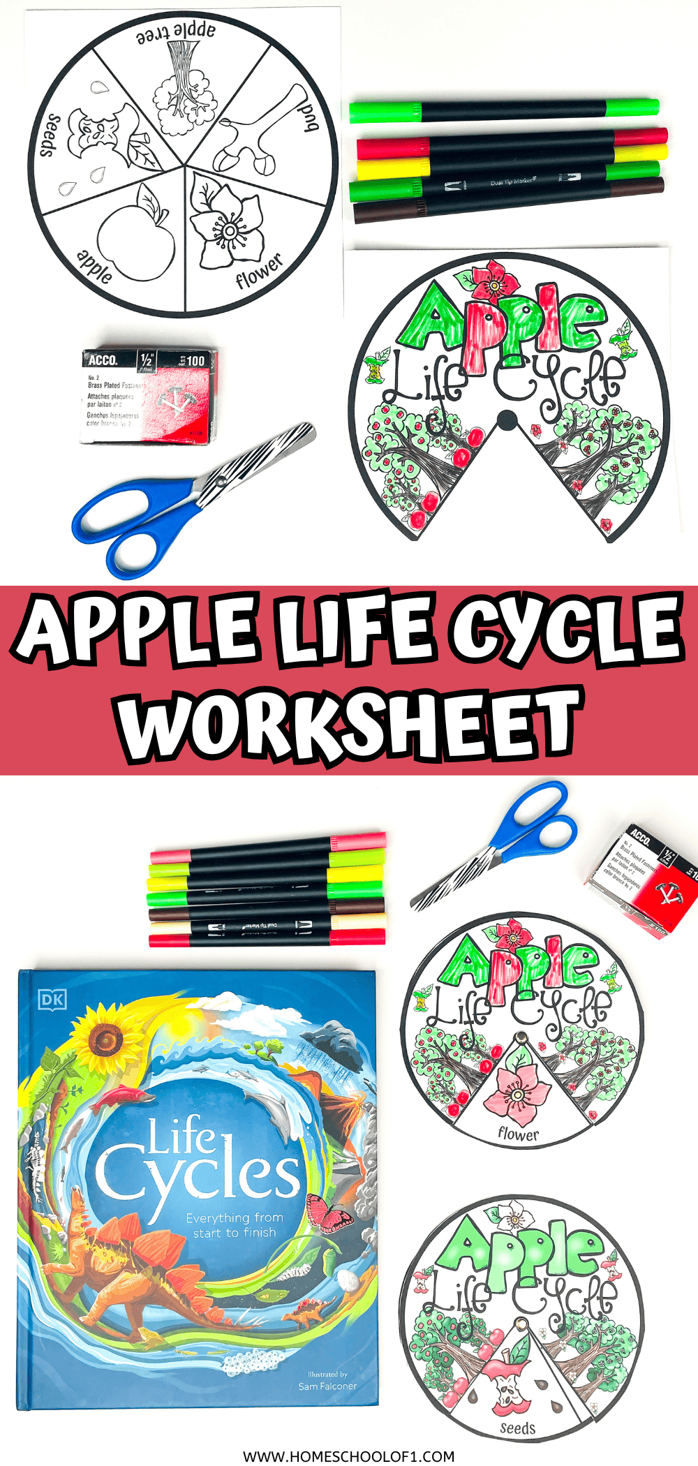 Free Apple Life Cycle Spinner Worksheet