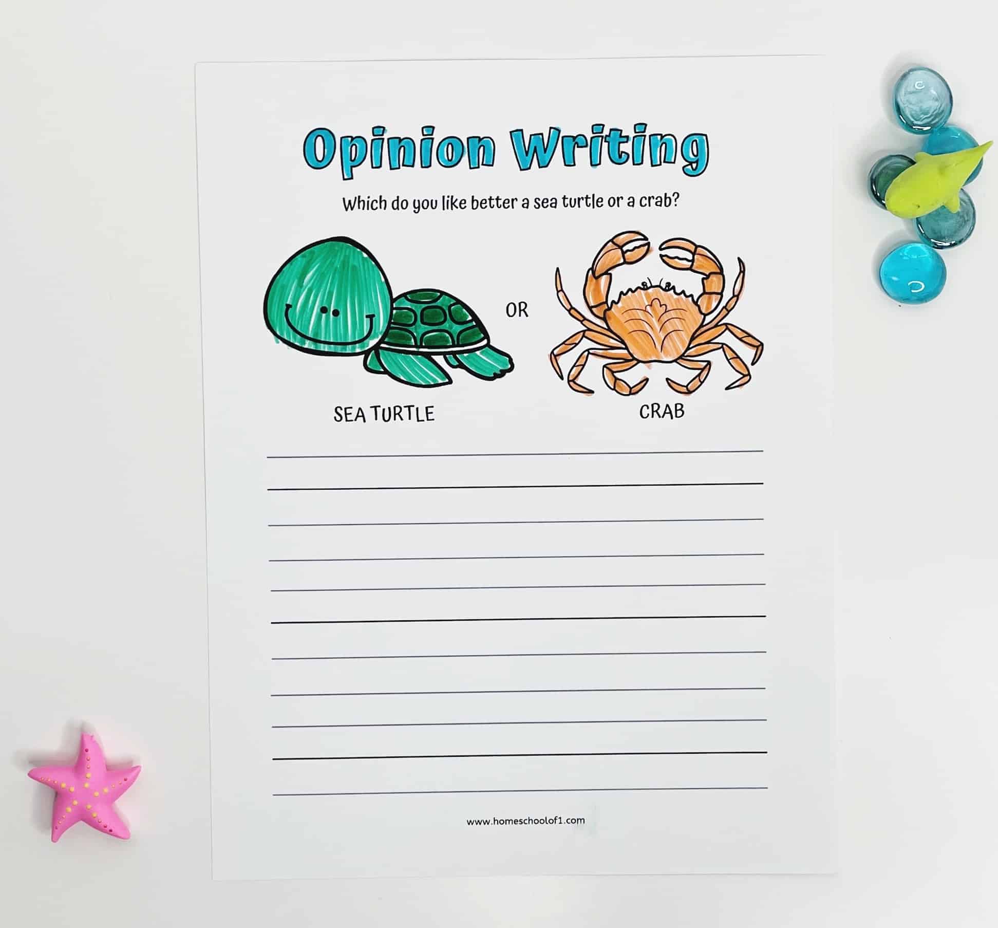 Free Crab Life Cycle Worksheets for Kids