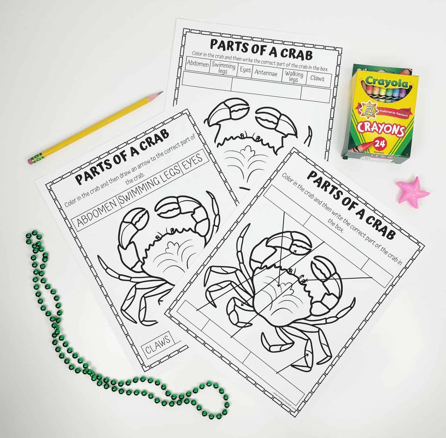 Free Parts of a Crab Worksheet