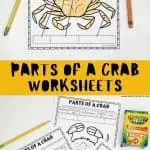 Free Parts of a Crab Worksheet