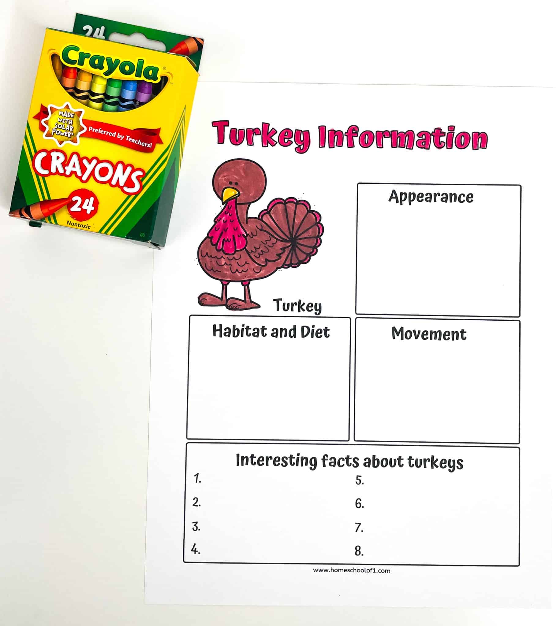 Free Life Cycle of a Turkey Worksheet