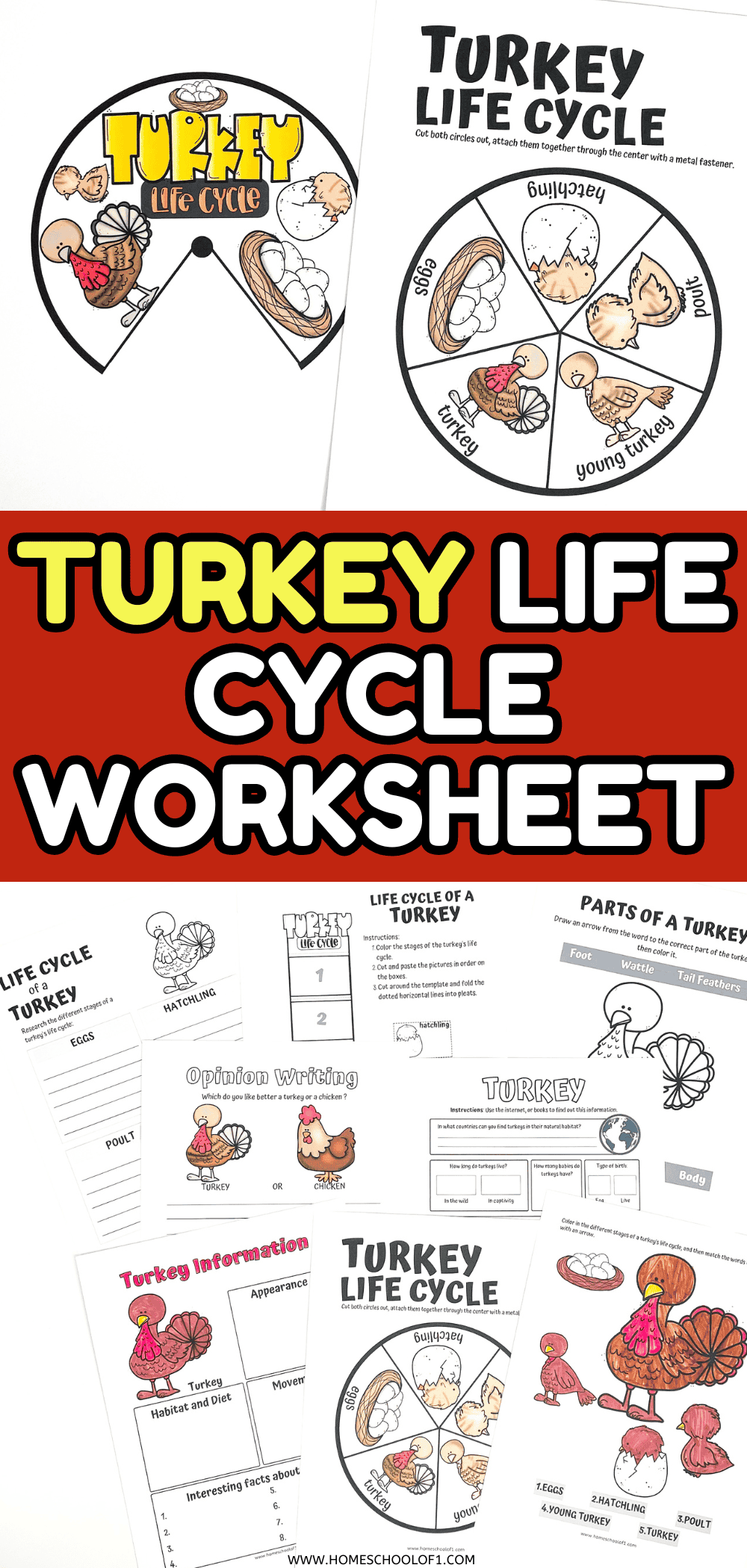 Free Life Cycle of a Turkey Worksheet
