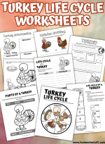 Free Life Cycle of a Turkey Worksheet