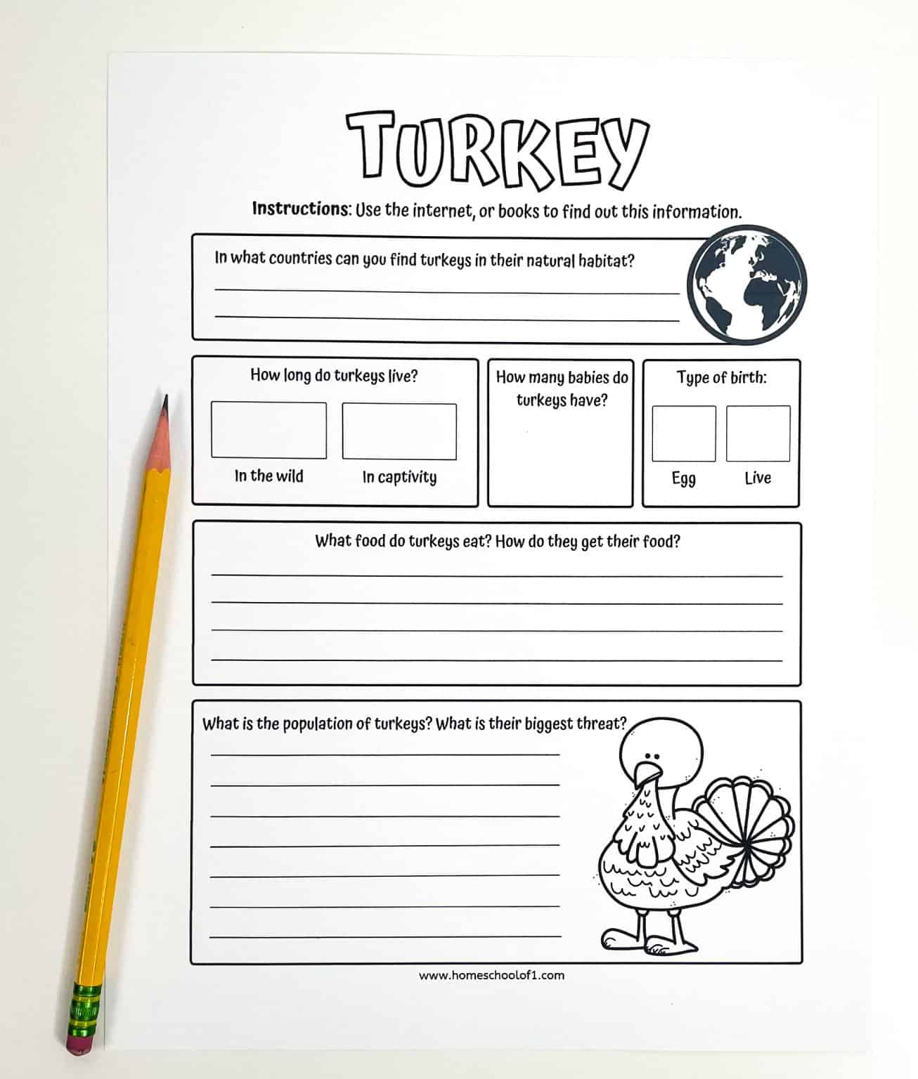 Free Life Cycle of a Turkey Worksheet