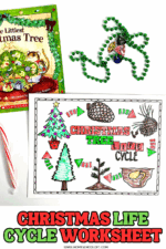 Free Christmas Tree Life Cycle Coloring Page