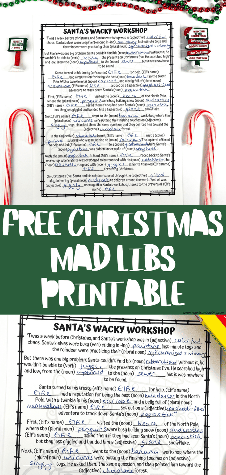 Free Christmas Mad Libs Printable