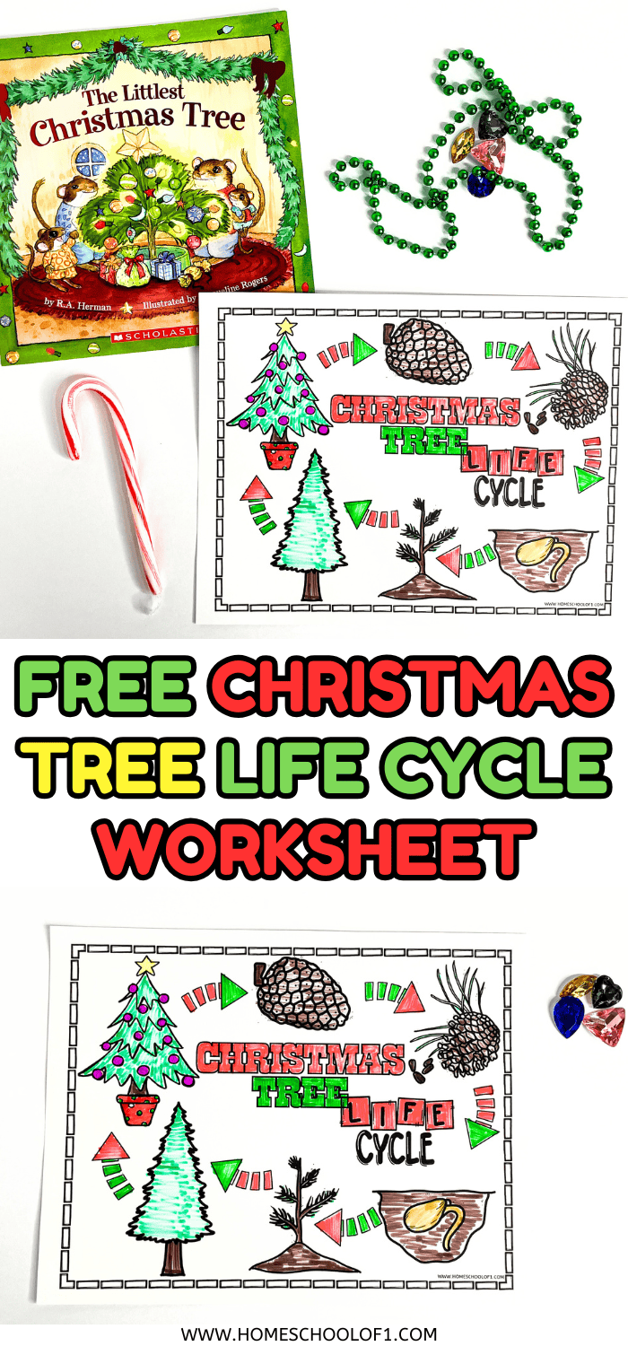 Free Christmas Tree Life Cycle Coloring Page