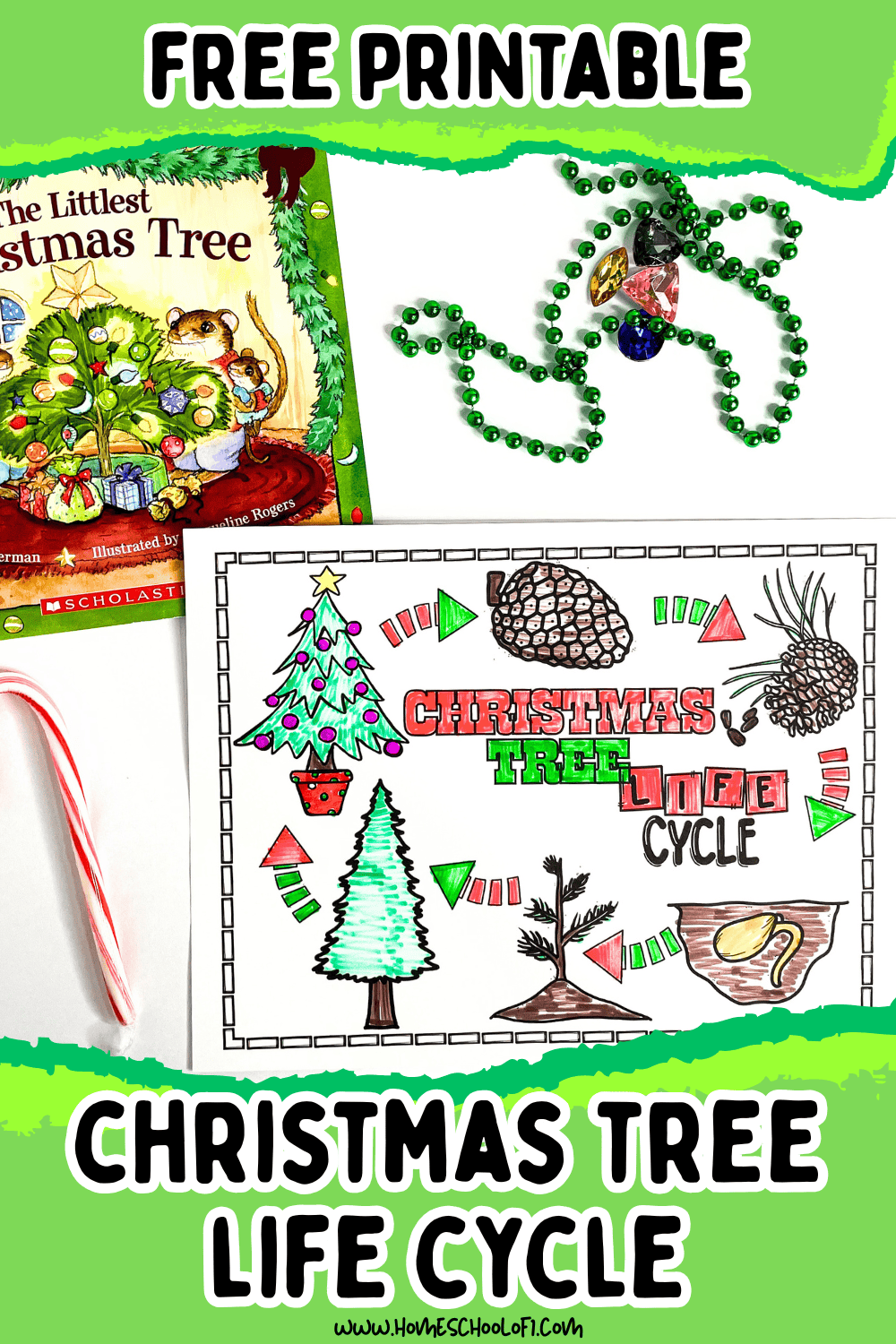 Free Christmas Tree Life Cycle Coloring Page