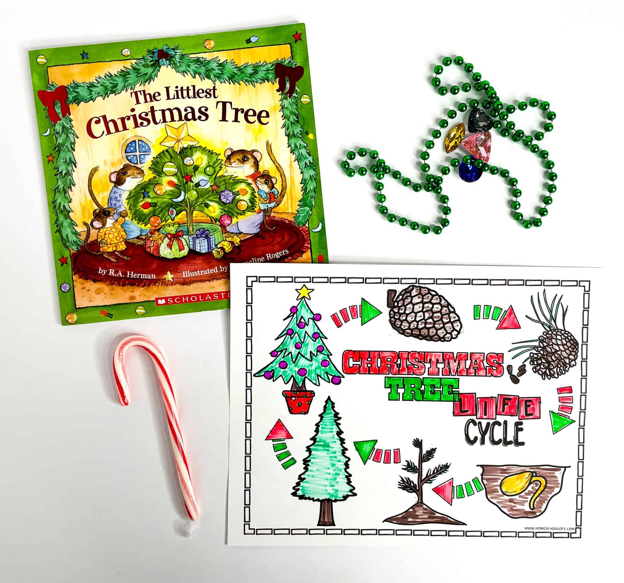 Free Christmas Tree Life Cycle Coloring Page