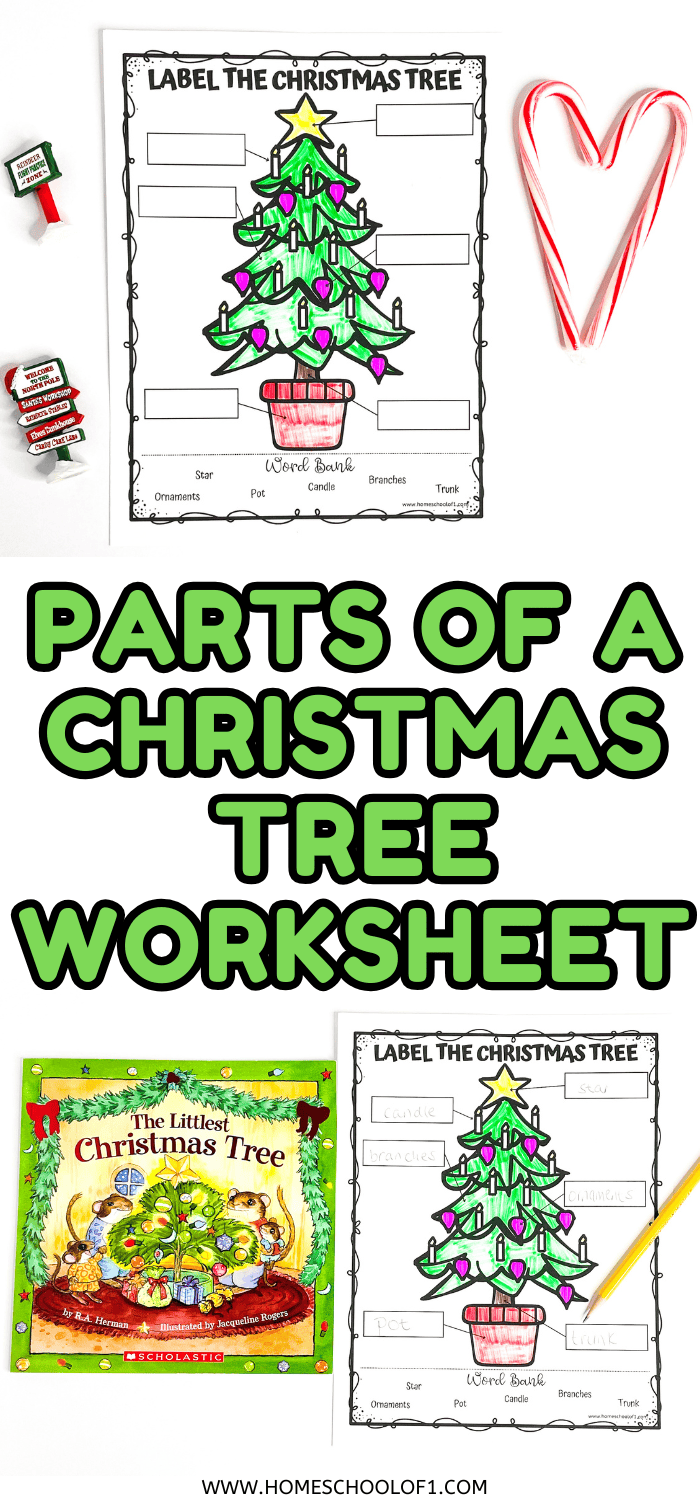 Free Parts of a Christmas Tree Worksheet