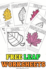 7 Free Leaf Coloring Pages (With Tree Facts & Fall Fun)