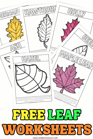 Leaf Coloring Pages (Free Printable for Kids)