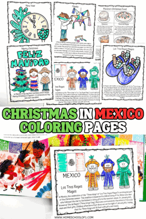 Free Christmas In Mexico Worksheet