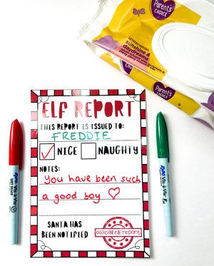 Free Elf Report Card Printable from the Elf on the Shelf