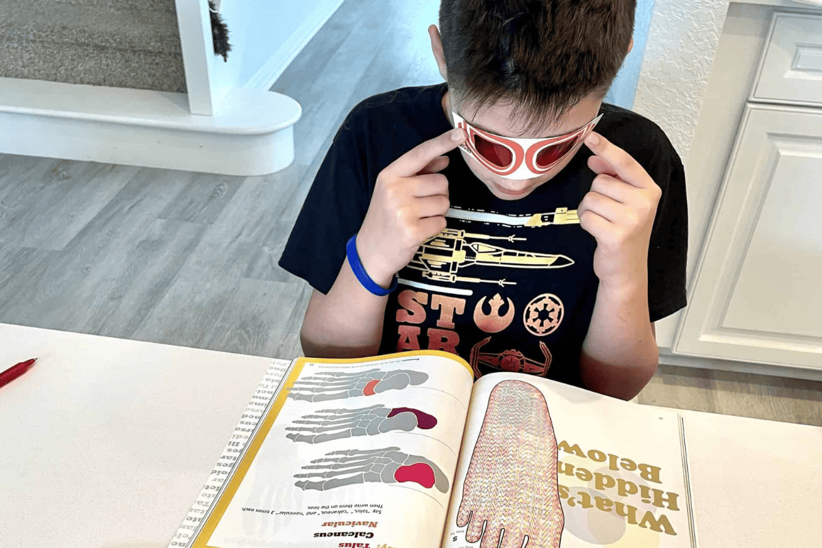 37 Best Homeschool Tools | Our Top Picks