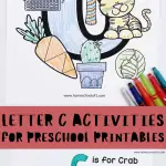 33 Fun Letter C Activities for Preschoolers