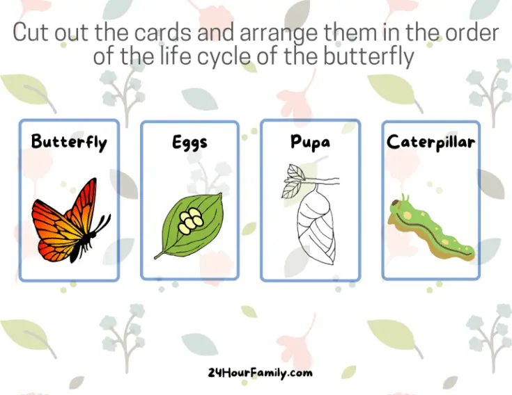 26 Butterfly Life Cycle Activities for Preschoolers