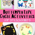 26 Butterfly Life Cycle Activities for Preschoolers