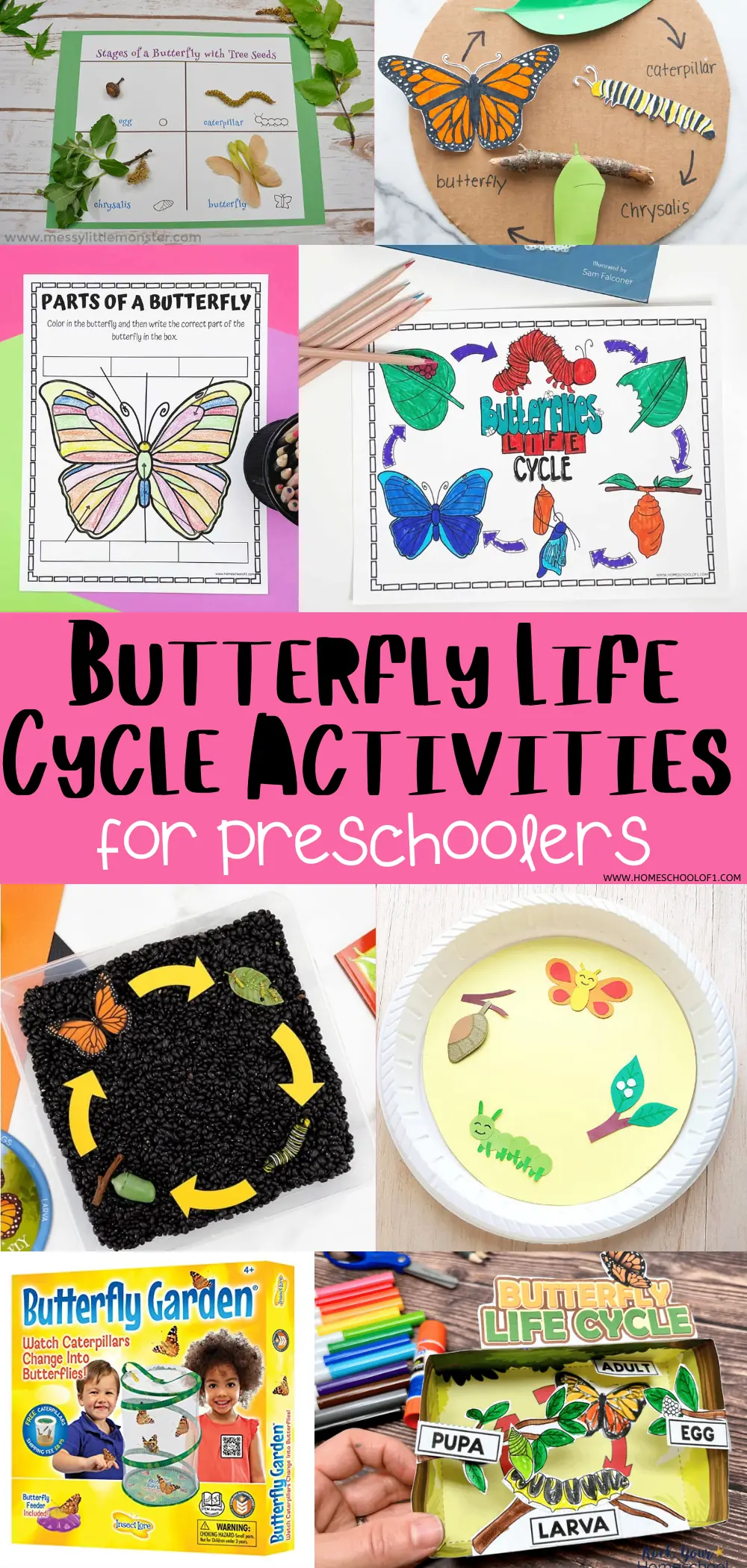26 Butterfly Life Cycle Activities for Preschoolers