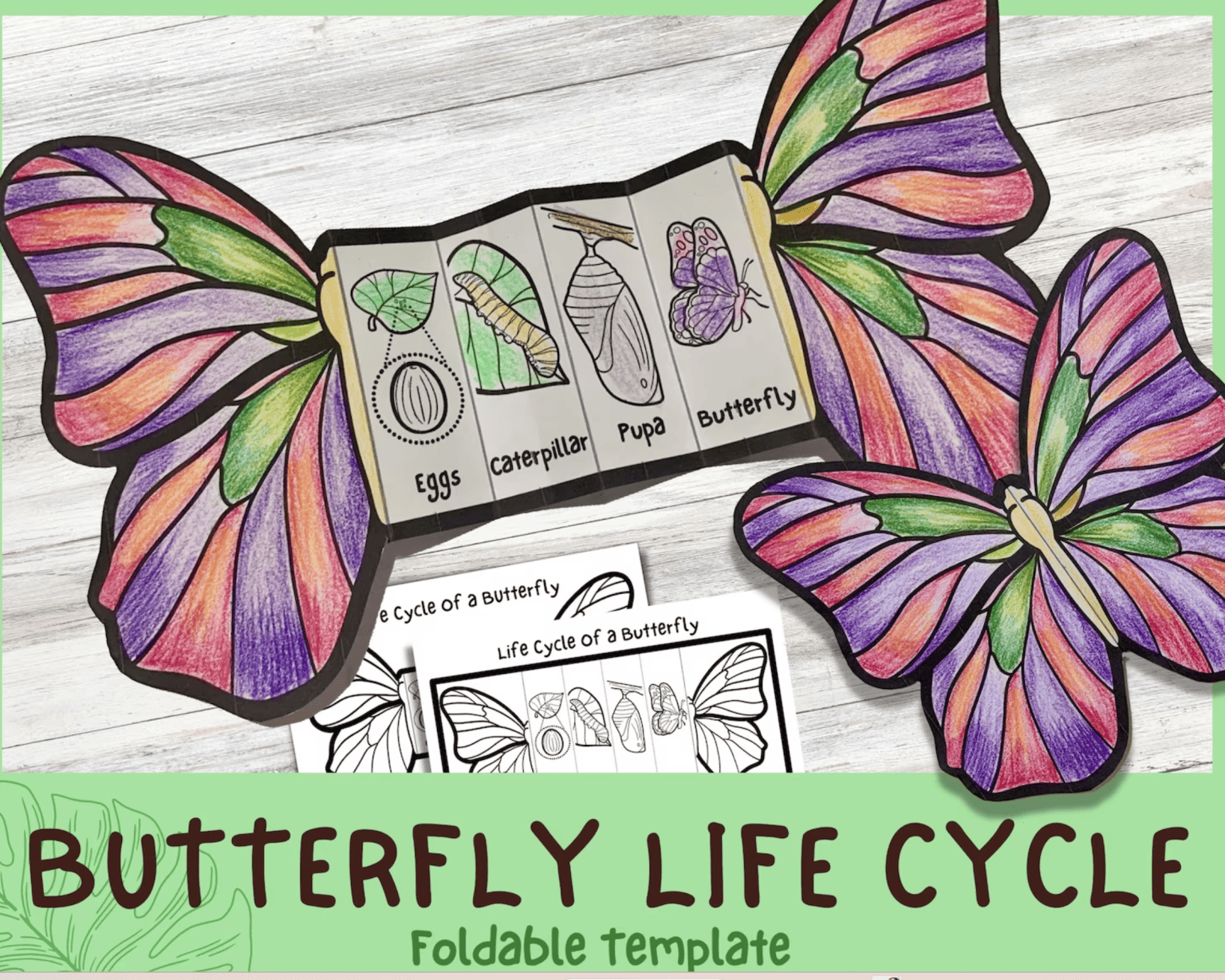 Butterfly Life Cycle Activities for Preschoolers That Keep Them Engaged