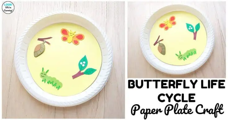 26 Butterfly Life Cycle Activities for Preschoolers