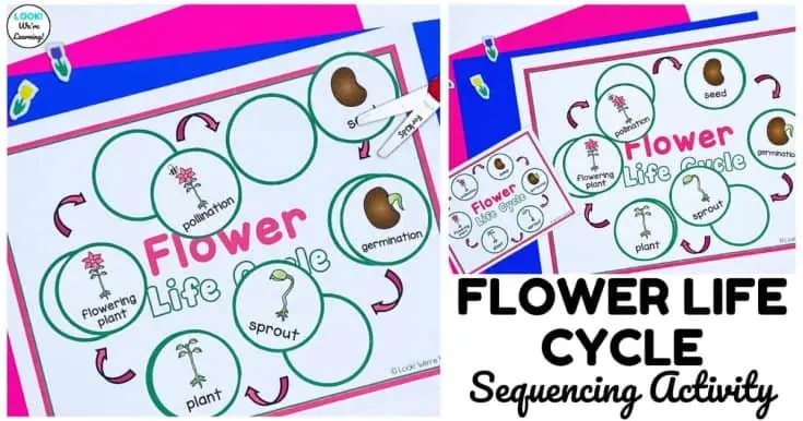 25 Fun Plant Life Cycle Activities For Kids