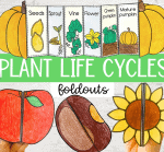 25 Fun Plant Life Cycle Activities For Kids