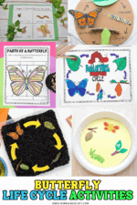 Butterfly Life Cycle Activities for Preschoolers That Keep Them Engaged