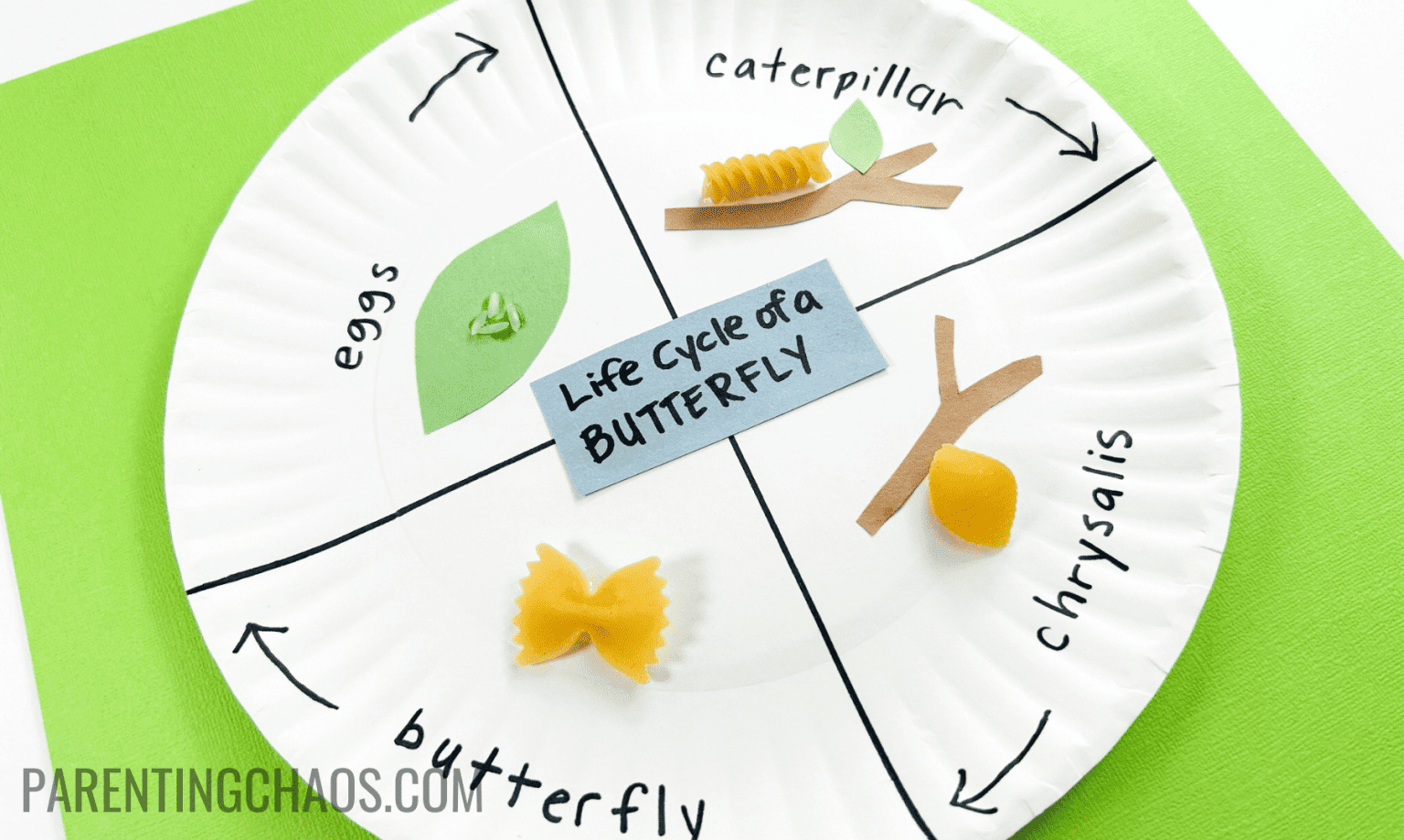 Butterfly Life Cycle Activities for Preschoolers That Keep Them Engaged