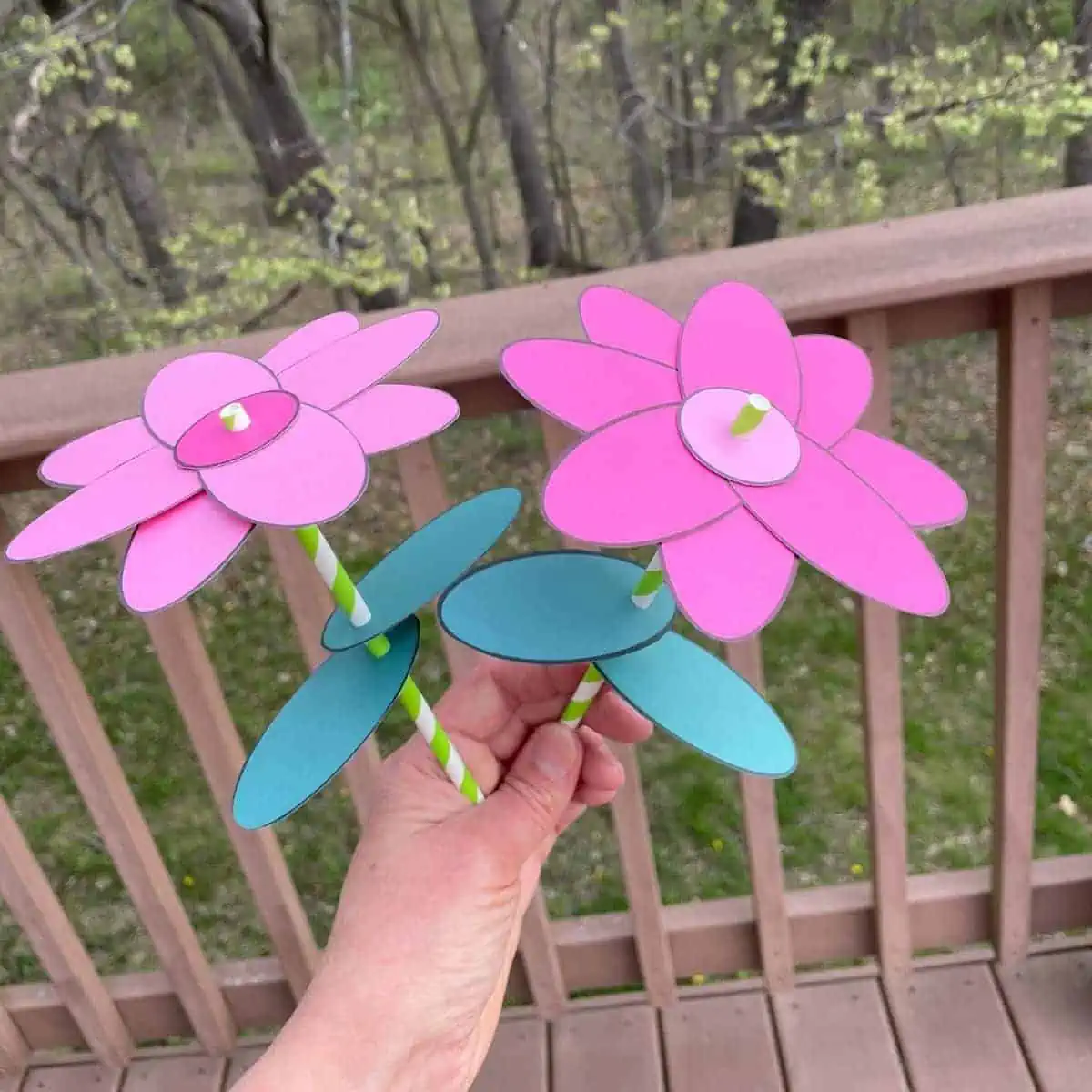 25 Fun Plant Life Cycle Activities For Kids