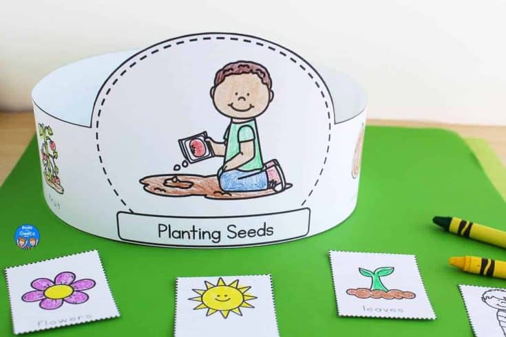 23 Fun Plant Life Cycle Activities For Kids