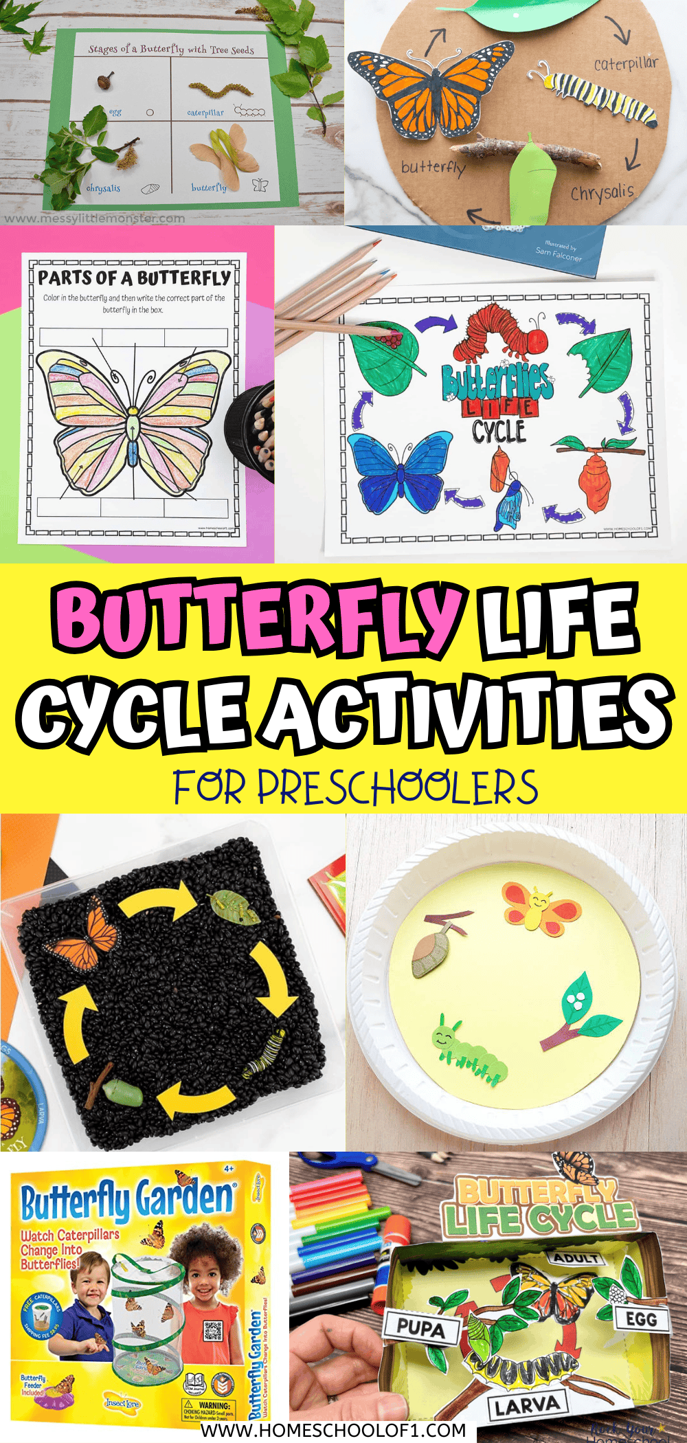 Butterfly Life Cycle Activities for Preschoolers That Keep Them Engaged