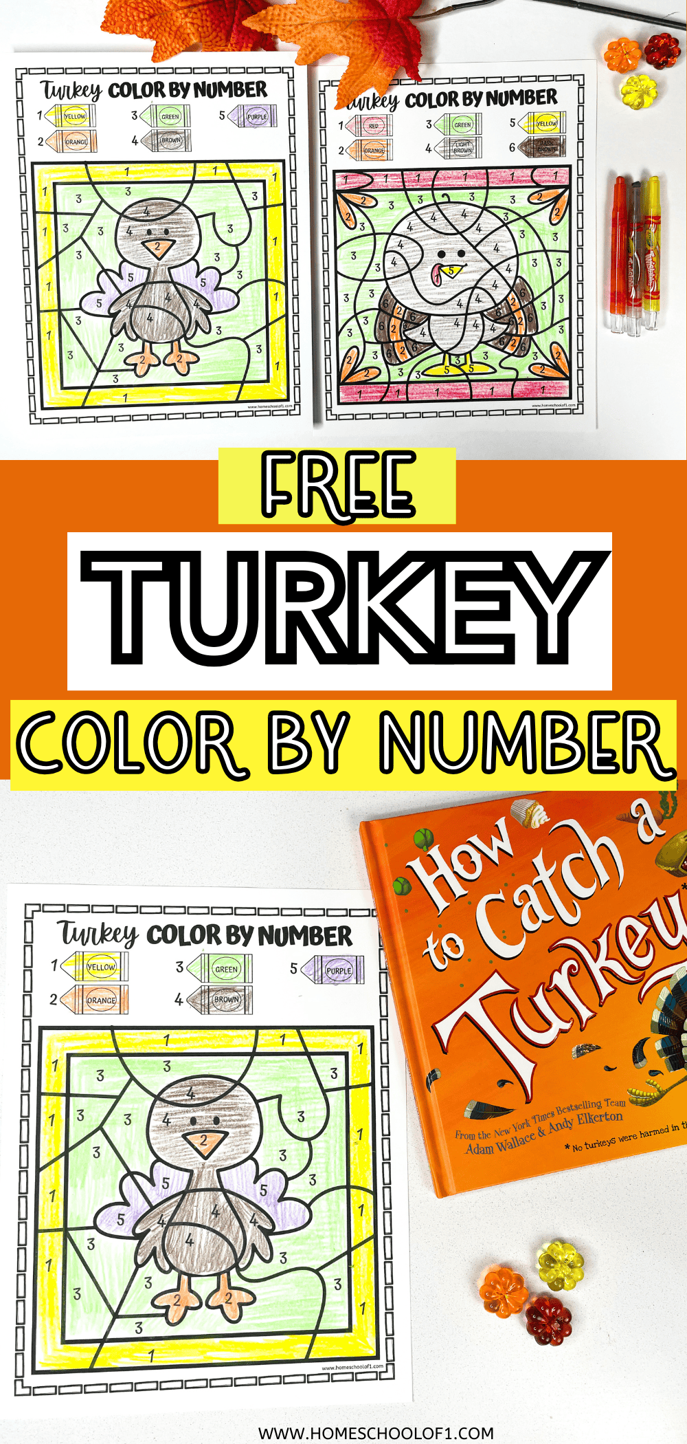 Turkey Color By Number Free Printable